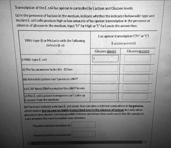 transcription ofthe ecoli lac operon is controlled by lactose and ...