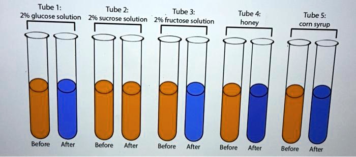 SOLVED:Tube Tube 2: Tube 3: 290 glucose solution 290 sucrose solution ...