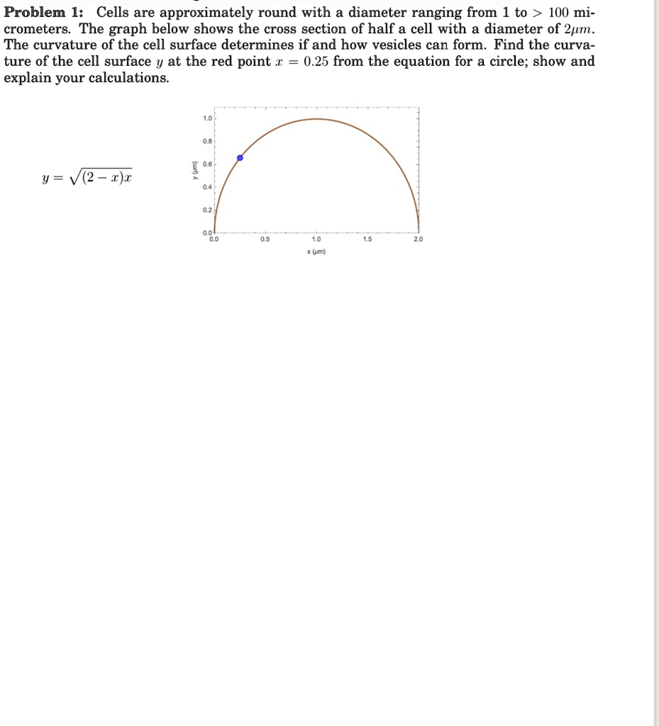problem 1 cells are approximately round with a diameter ranging from 1 ...