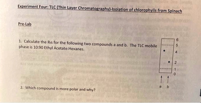 SOLVED:Experiment Four: TLC (Thin Layer Chromatography)-Isolation _ gf ...