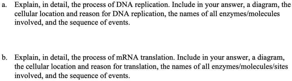 explain in detail the process of dna replication include in your answer ...