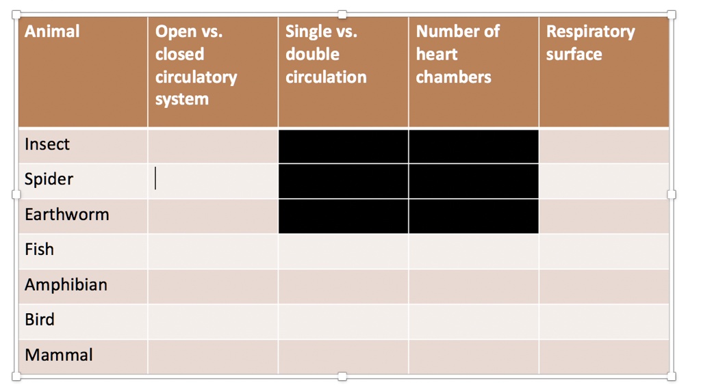 animal open vs closed circulatory system single vs double circulation ...