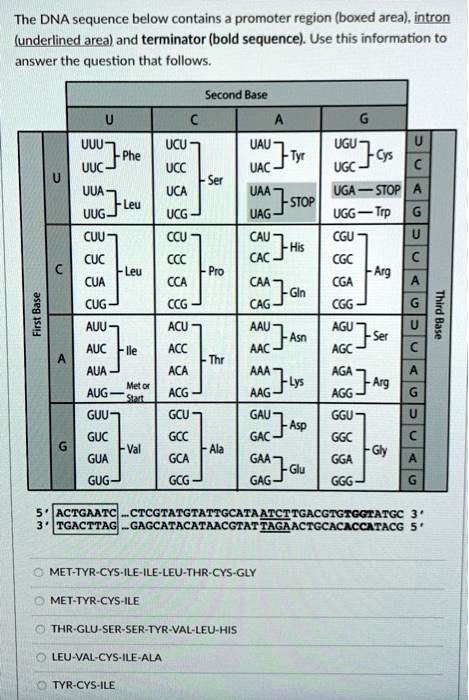 SOLVED: The DNA sequence below contains the promoter region (boxed area ...