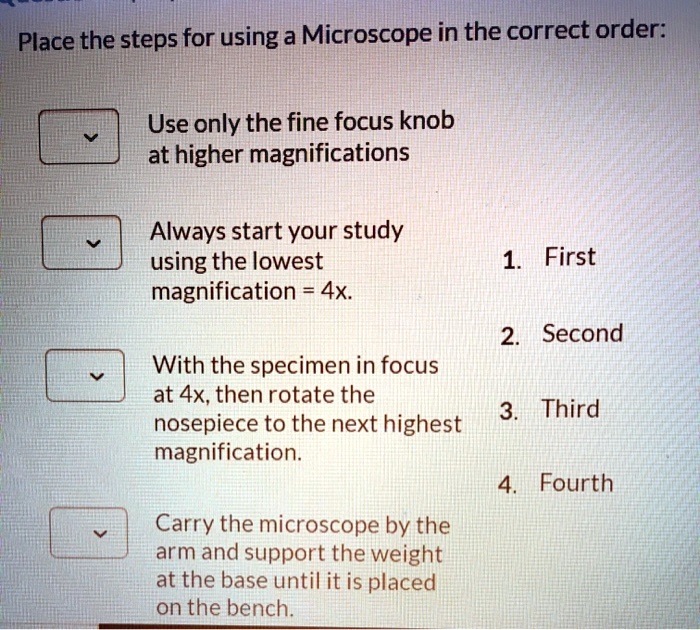 Place the steps for using a microscope in the correct order...