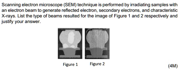 Scanning electron microscope (SEM) technique is performed by ...