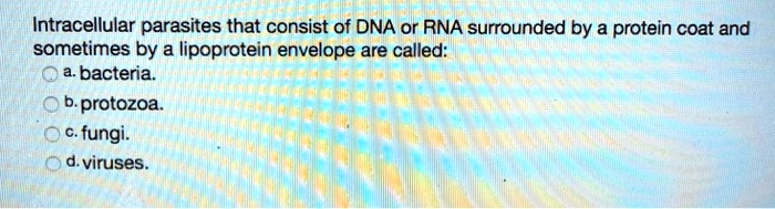 Intracellular parasites that consist of DNA or RNA surrounded by a ...