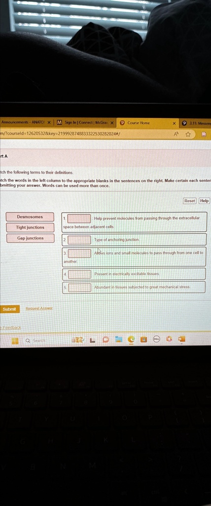 SOLVED: Ann Match the following terms to their definitions Match the ...