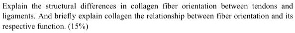 Explain the structural differences in collagen fiber orientation ...