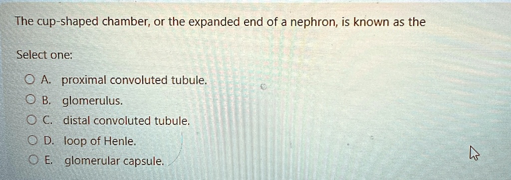 the cup shaped chamber or the expanded end of a nephron is known as the ...