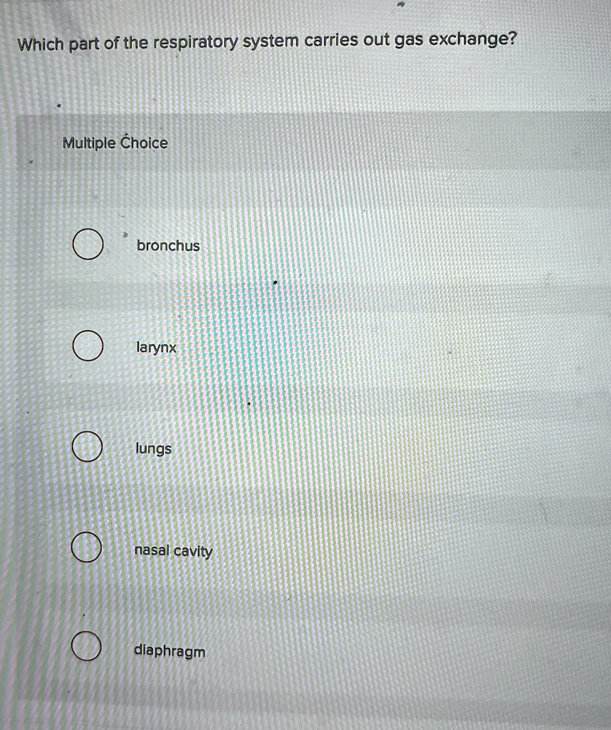 Which part of the respiratory system carries out gas exchange? Multiple ...