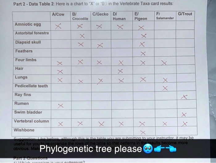 SOLVED: Text: Part 2 Data Table 2: Here is a chart showing the presence ...