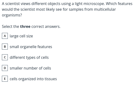 A scientist views different objects using a light microscope. Which ...