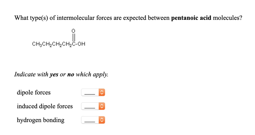 SOLVED: What type(s) of intermolecular forces are expected between ...