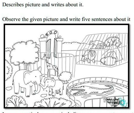 SOLVED: 'Observe the given picture and write five sentences about it'