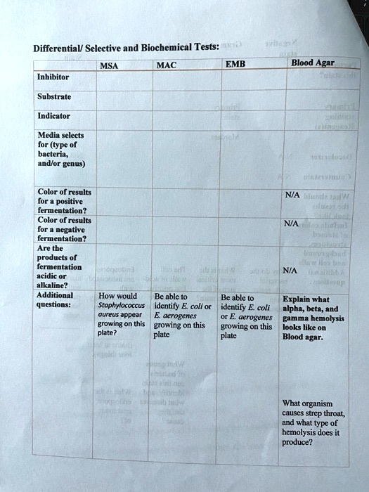 Differentiating Selective and Biochemical Tests: MSA, MAC, EMB ...