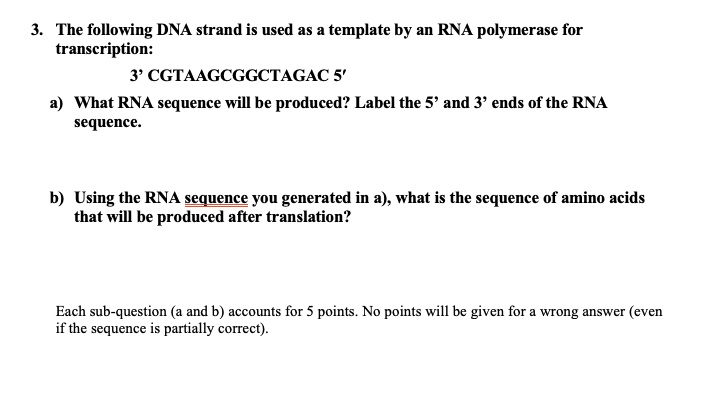 the following dna strand is used as template by an rna polymerase for transcription 3 ...