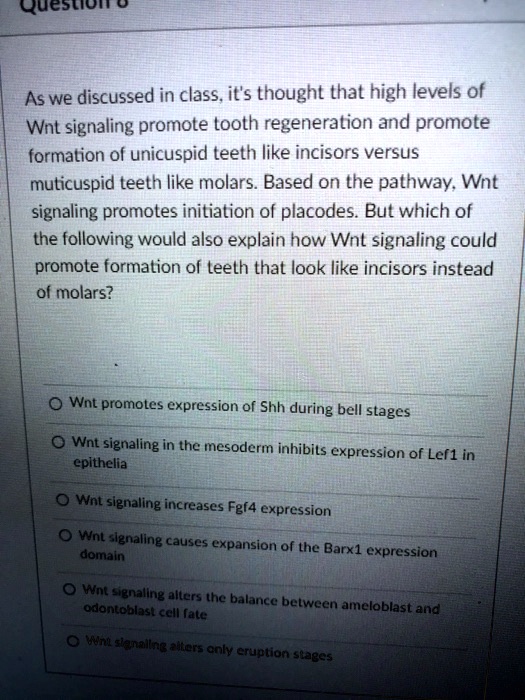 SOLVED: As we discussed in class, it's thought that high levels of Wnt ...