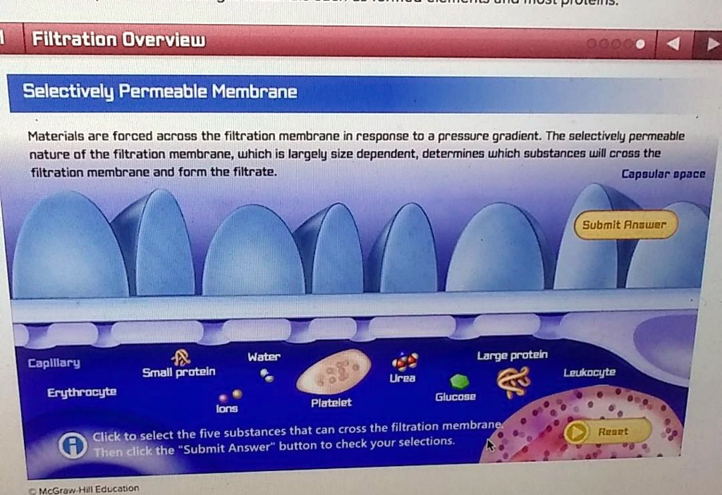 pto filtration overview selectively permeable membrane materials are ...