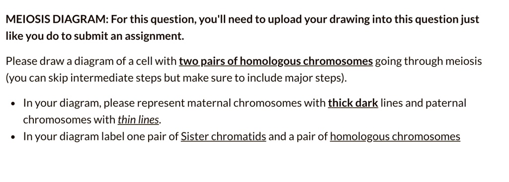 MEIOSIS DIAGRAM: For this question, you'll need to upload your drawing ...