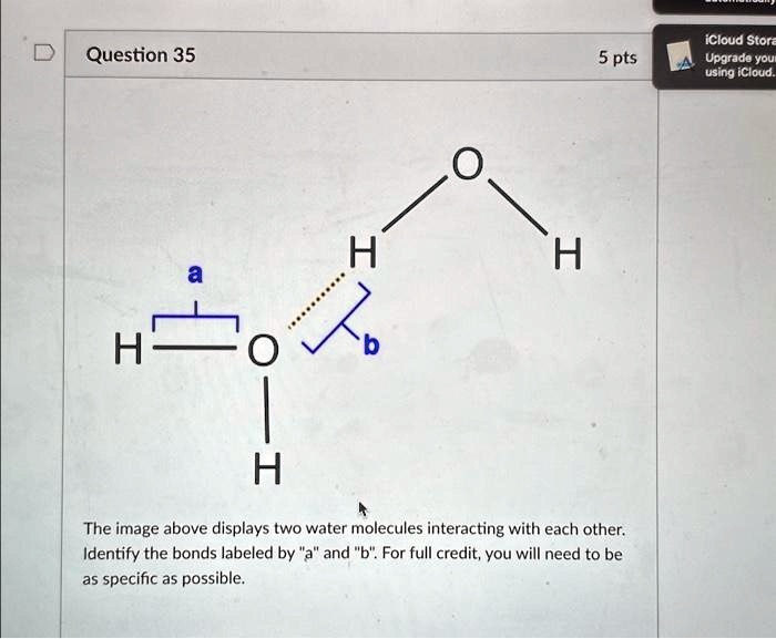 Question 35 H O H O b H H The image above displays two water molecules ...