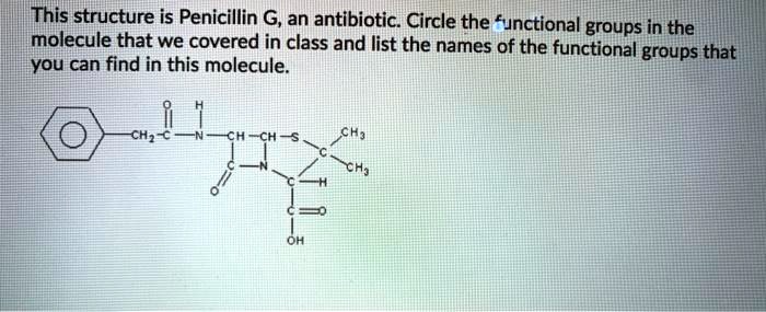 SOLVED: This structure is Penicillin G, an antibiotic. Circle the ...