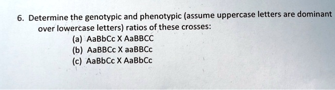 SOLVED: Determine the genotypic and phenotypic (assume uppercase letters are dominant over ...