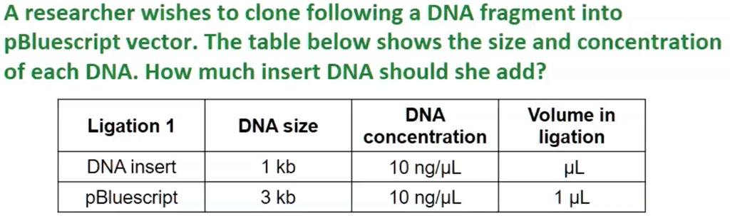 A researcher wishes to clone the following DNA fragment into the ...