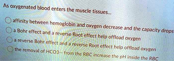 SOLVED: As oxygenated blood enters the muscle tissues affinity" between hemoglobin and oxygen ...