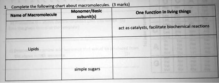 SOLVED: Complete the following chart about macromolecules: (3 marks Monomer /Basic Name of ...