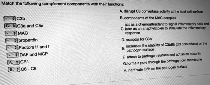 SOLVED:Match tho following complement components with their functions: disrupt C3 convertase ...
