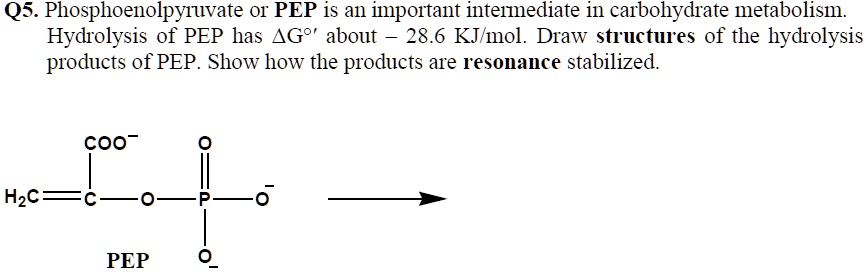 SOLVED:Q5. Phosphoenolpyruvate O1 PEP is a1 iportant interediate in ...