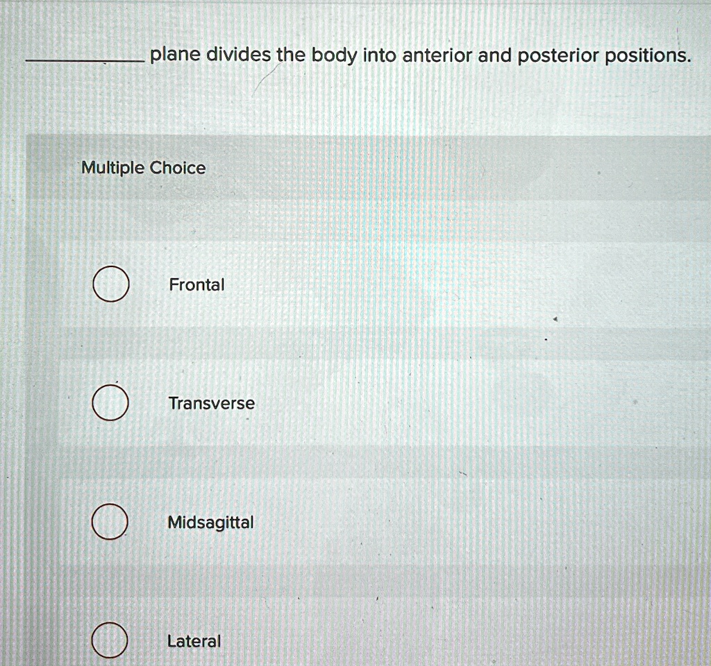 plane divides the body into anterior and posterior positions. Multiple ...
