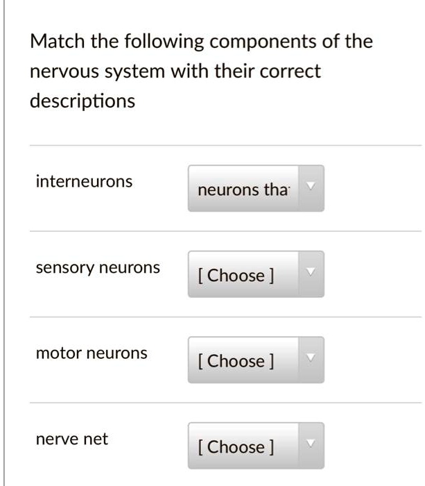 SOLVED: Match the following components of the nervous system with their ... SOLVED: Match the following components of the nervous system with their ...