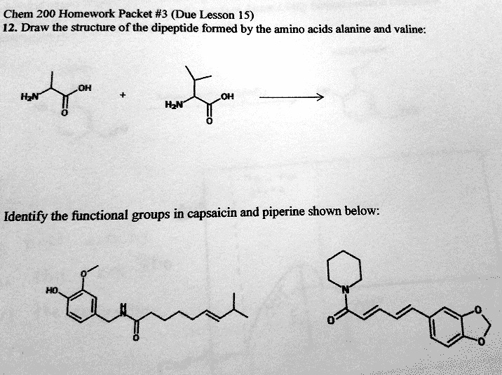 SOLVED: ' Draw the structure of the dipeptide formed by the amino acids ...