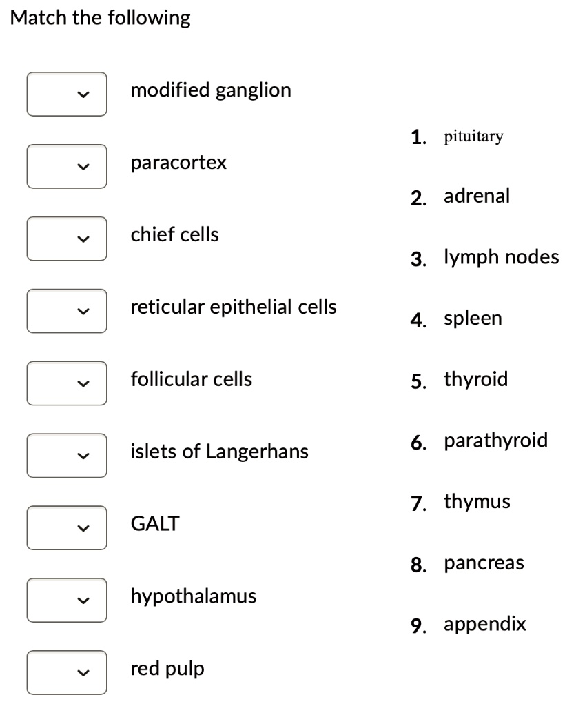 SOLVED: Match the following: 1. pituitary 2. adrenal 3. lymph nodes 4. spleen 5. thyroid 6 ...