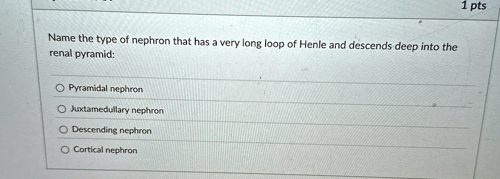 name the type of nephron that has a very long loop of henle and ...