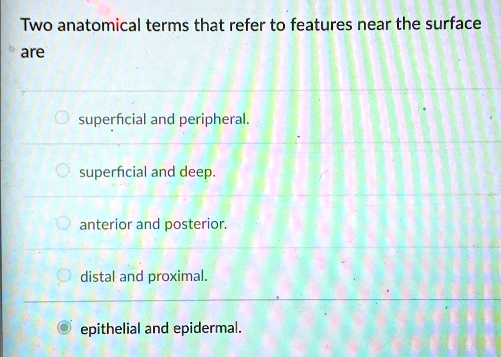 Two anatomical terms that refer to features near the surface are ...