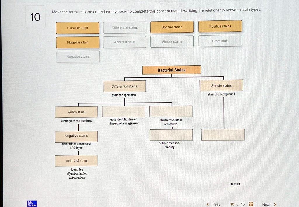 10 move the terms into the correct empty boxes to complete this concept map describing the ...