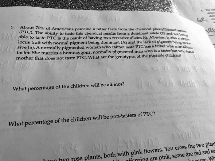 6e about 70 of americans perceive bitter tuste from the chemical ...