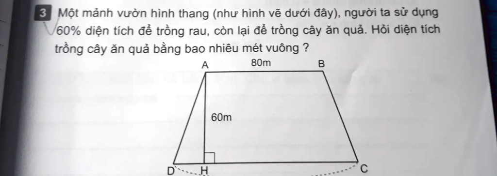 mot manh vuon hinh thang nhu hinh ve duoi day nguoi ta si dung 60 dien ...