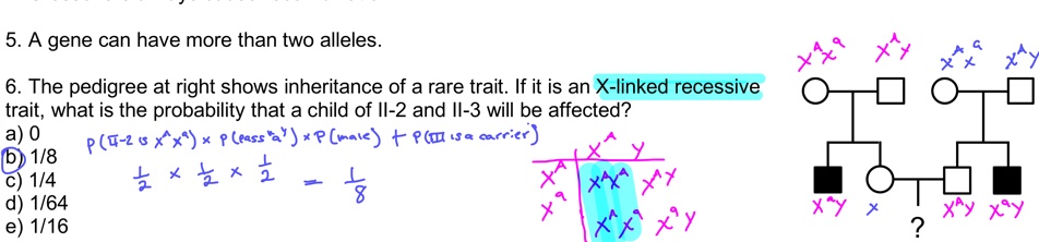 SOLVED: 5. A gene can have more than two alleles 6. The pedigree at right shows inheritance of a ...