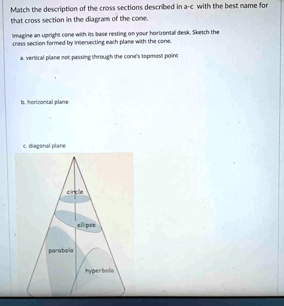Solved Match The Description Of The Cross Sections Described In A C With The Best Name For That