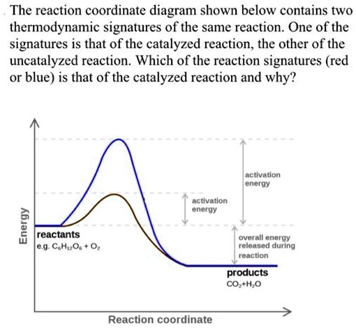 SOLVED:The reaction coordinate diagram shown below contains two ...
