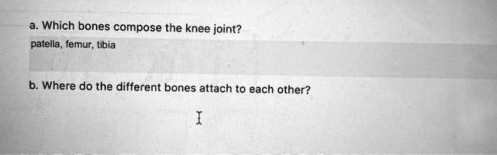 a. Which bones compose the knee joint? patella, femur, tibia b. Where ...
