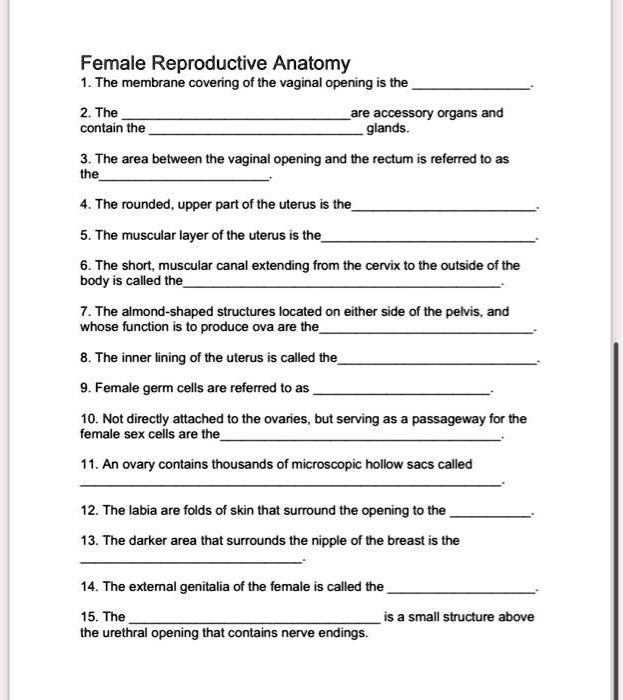 SOLVED: Female Reproductive Anatomy 1. The membrane covering the ...
