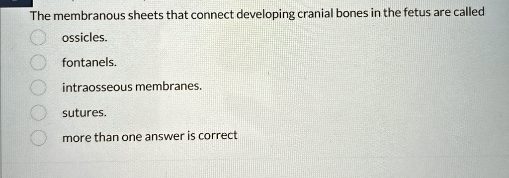the membranous sheets that connect developing cranial bones in the ...
