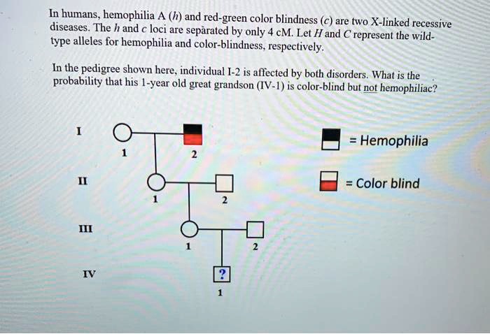 SOLVED: In humans, hemophilia A (h) and red-green color blindness (c ...