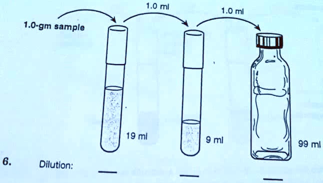 SOLVED: ' Calculate the serial dilution