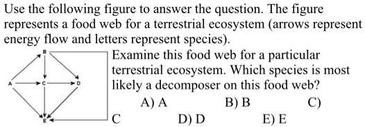 Use the following figure to answer the question. The figure represents ...