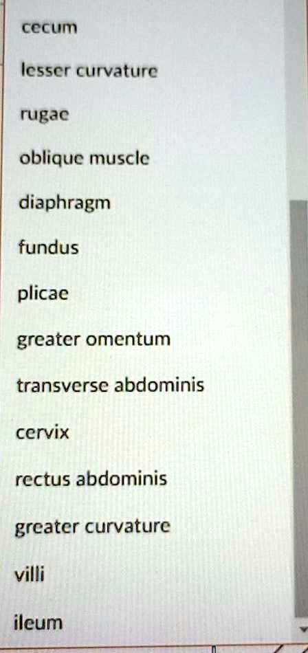 SOLVED: Texts: cccum Icsscr curvature rugae oblique muscle diaphragm ...